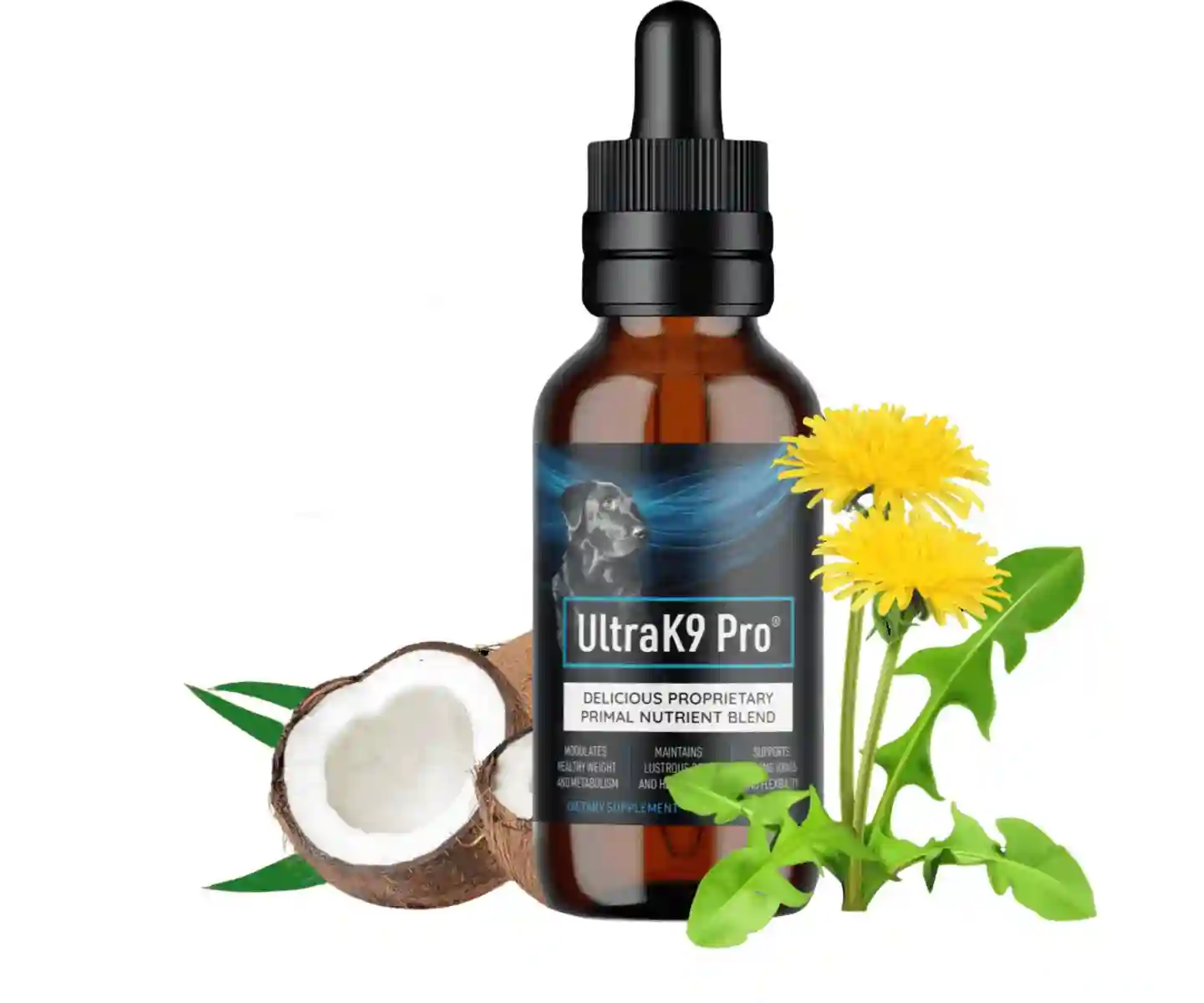 UltraK9 Pro™ | Official Website - Natural Support Dog’s Health