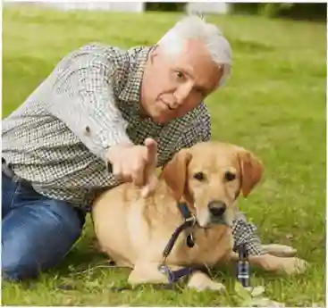 UltraK9 Pro™ | Official Website - Natural Support Dog’s Health