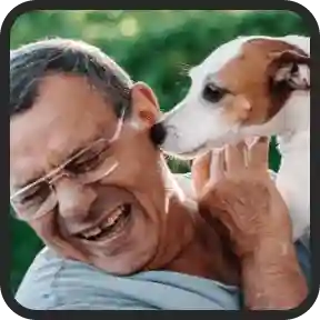 UltraK9 Pro™ | Official Website - Natural Support Dog’s Health